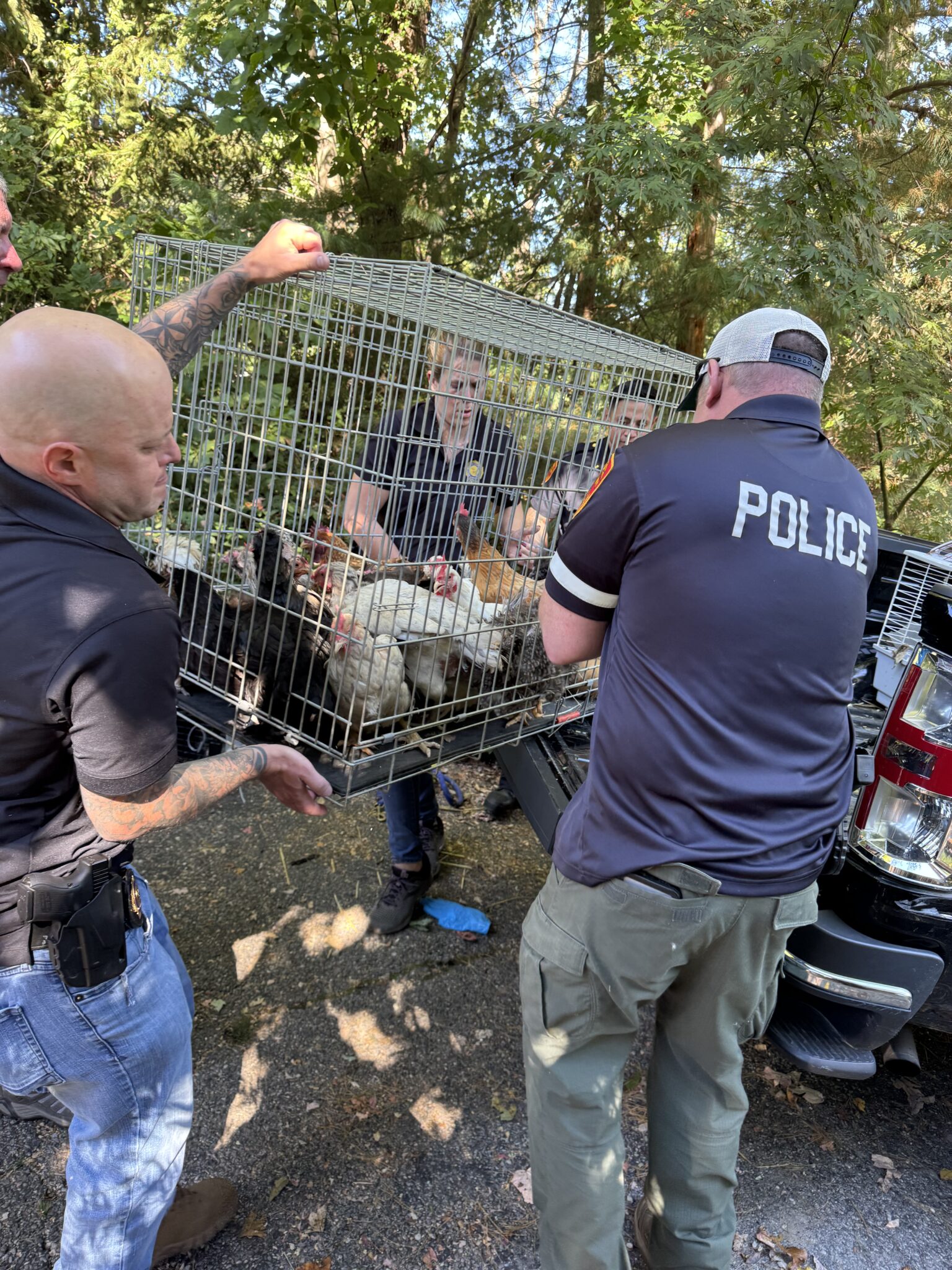 District Attorney’s Office Partners with Animal Rescue Organizations to ...
